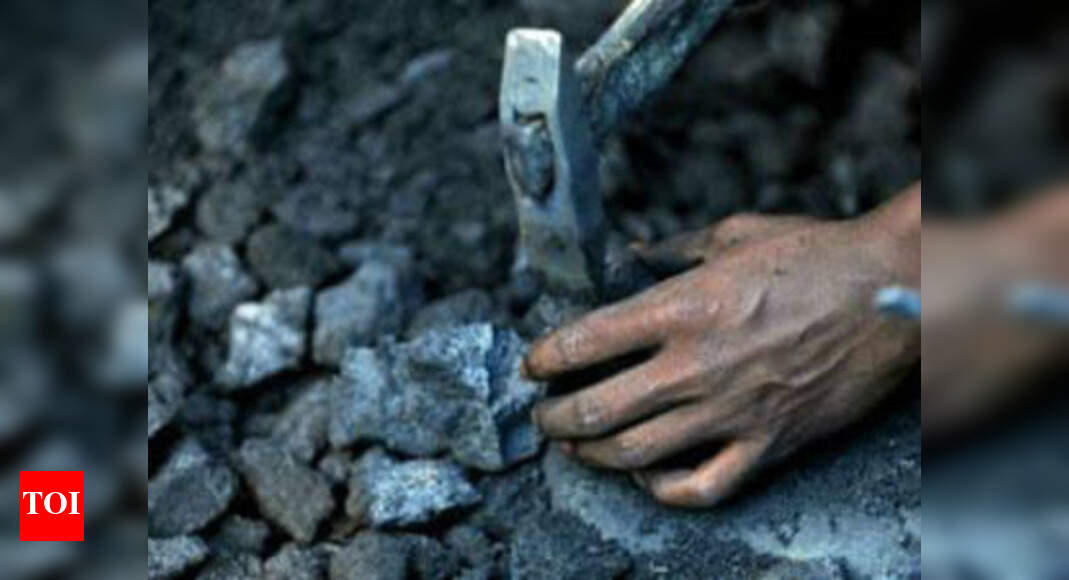 Coal issue burns red hot across Goa | Goa News - Times of India