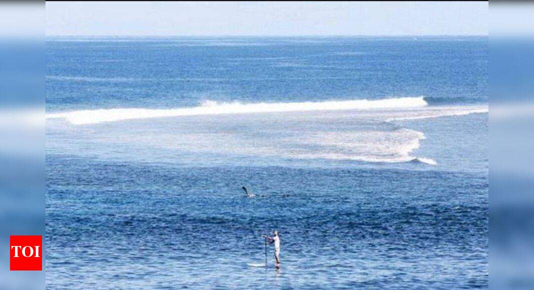 Deep-sea crawler to help mine minerals | Chennai News - Times of India