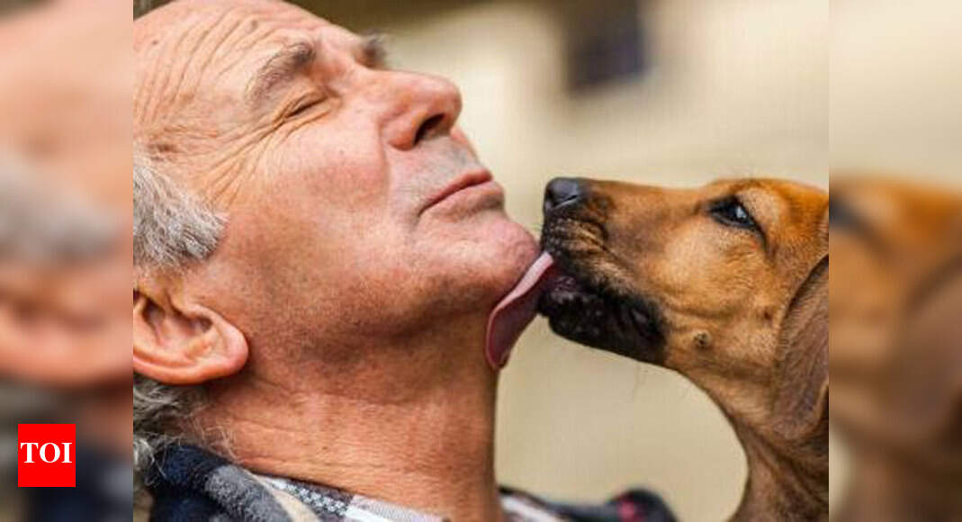 People love dogs more than humans: Study - The Times of India