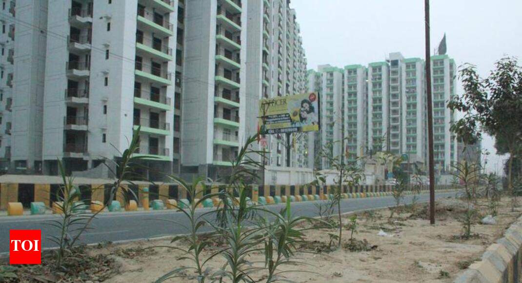 Raj Nagar Extension residents go green, adopt 250 saplings | Ghaziabad ...
