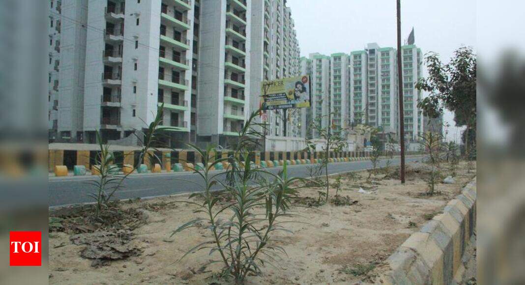 Raj Nagar Extension residents go green, adopt 250 saplings | Ghaziabad ...