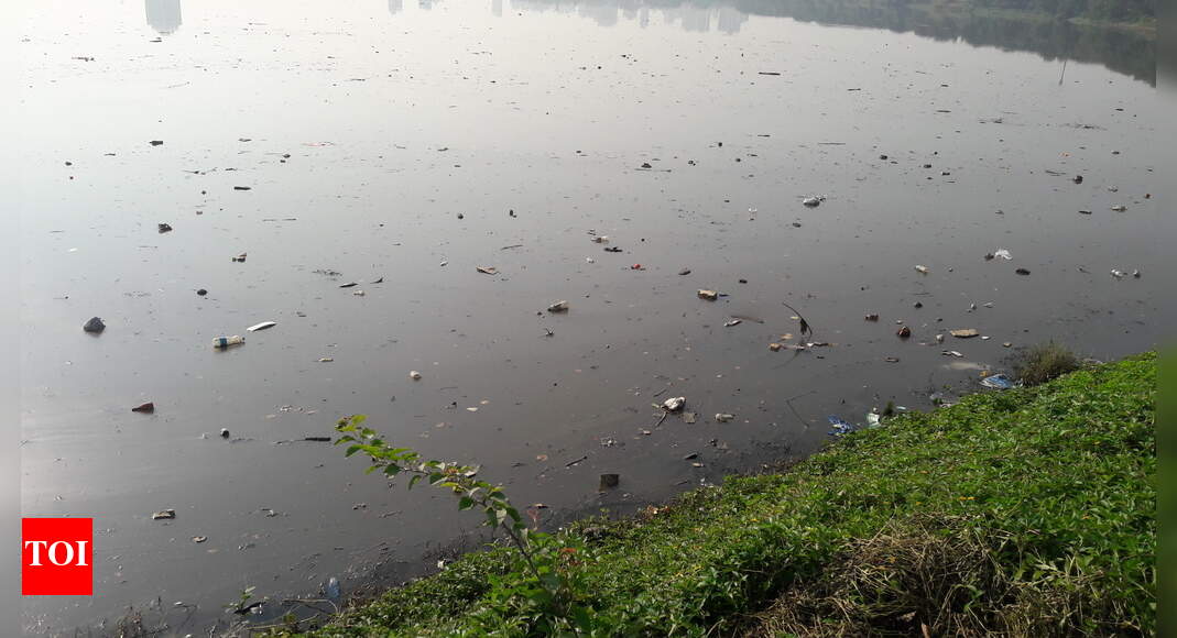 Nerul Lake - Jewel of Navi Mumbai dirtied - Times of India