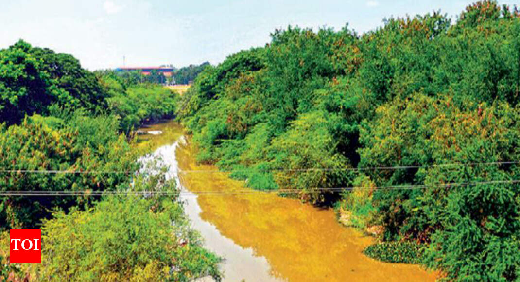 musi: Too dirty for dip: Musi's toxic water drowns tradition of Dupki ...