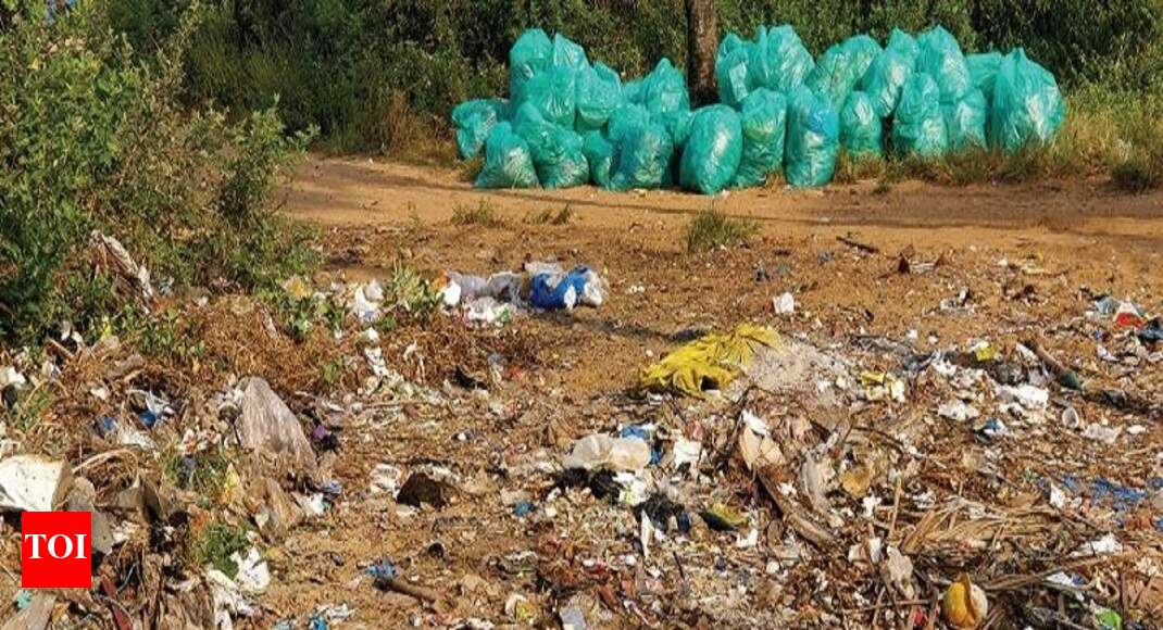 Garbage: Garbage continues to plague Colva beach | Goa News - Times of ...