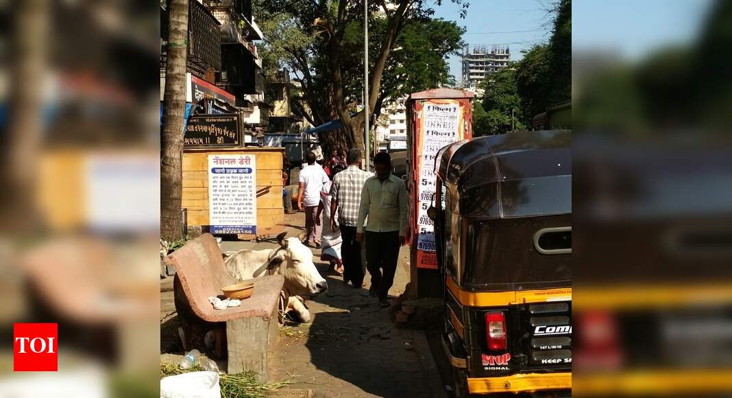 Hogging the footpath - Times of India