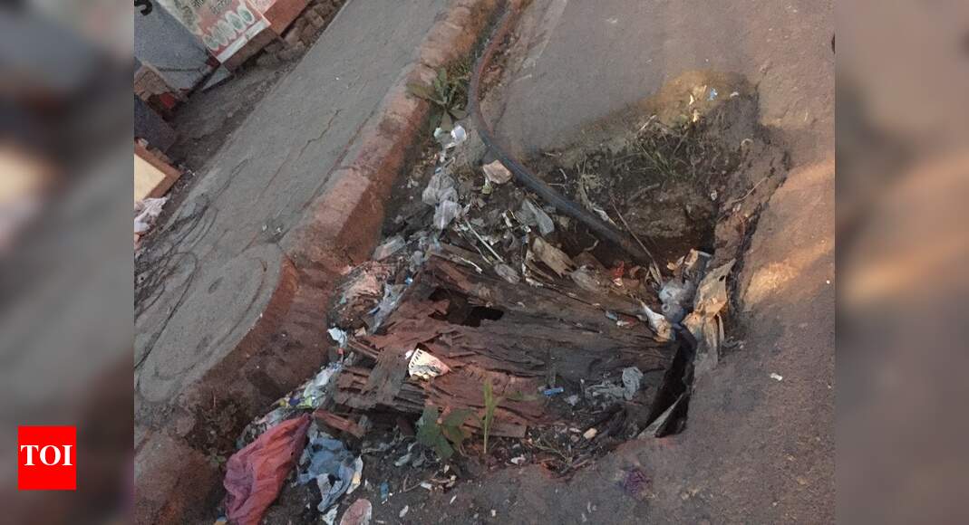 The Mighty Khadda - Times of India