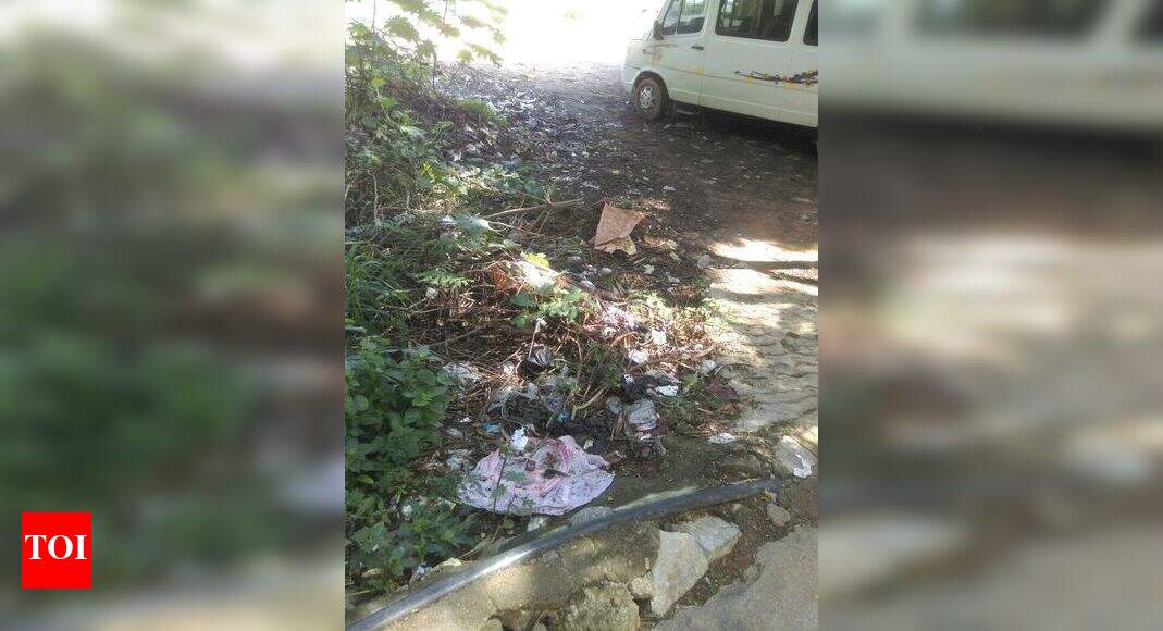 Garbage & Sludge dump in EPIP zone phase 2 - Times of India