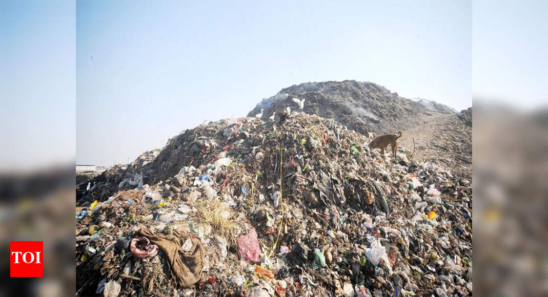 MCG set to roll out new garbage management plan in December | Gurgaon ...