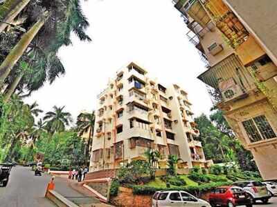 Birds, Bollywood & the bells of St. Anne: In Cozihom, a glimpse of old ...