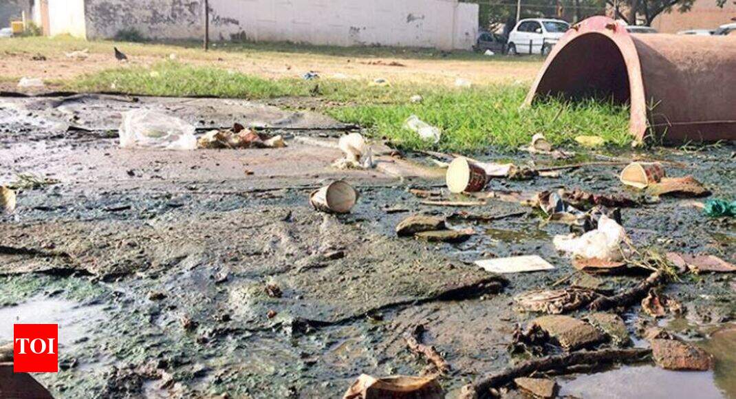 Dirty water, filth mess up Sec 45 motor market, park | Chandigarh News ...