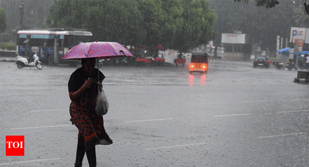Chennai weather: Schools in Chennai, Kancheepuram and Tiruvallur districts to remain closed on ...
