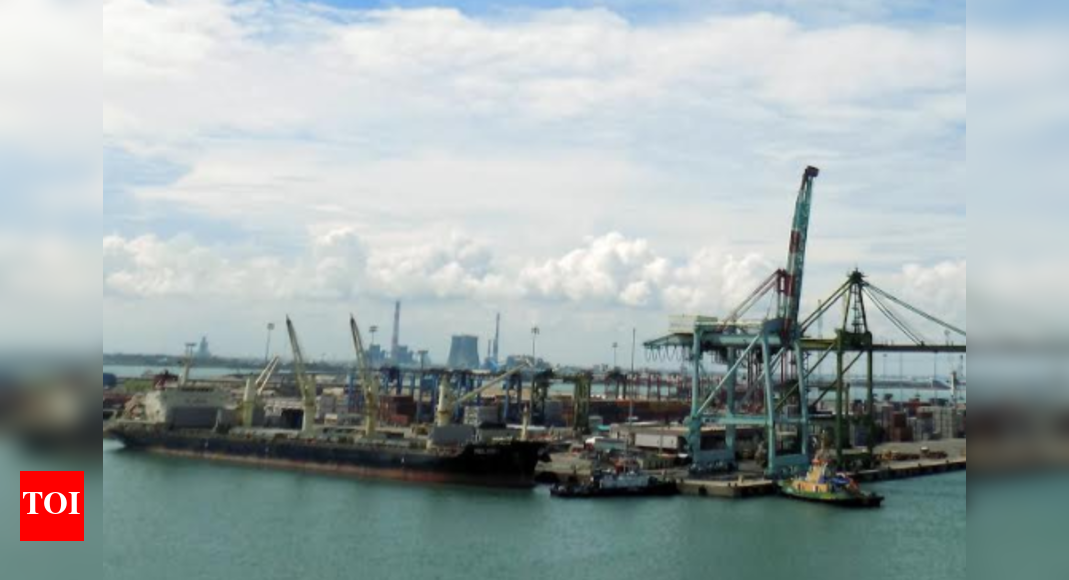 Tuticorin port sets cargo handling record | Chennai News - Times of India