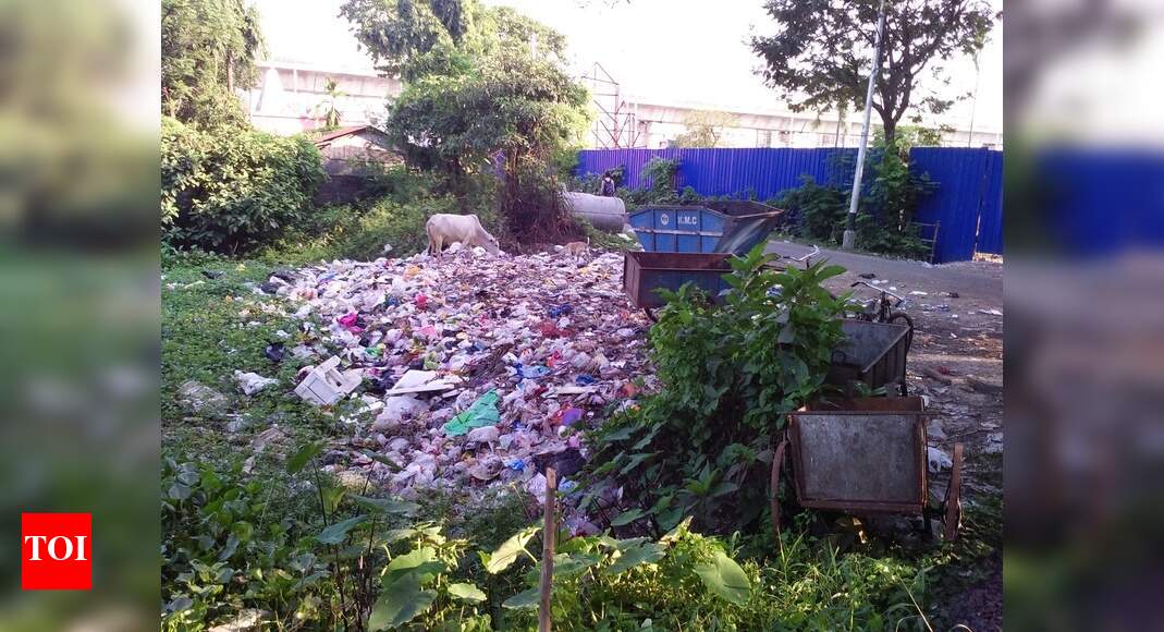Garbage not stored in vat but laid on ground - Times of India