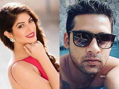Bigg Boss 11: We are sure her relationship with Puneesh Sharma is just ...