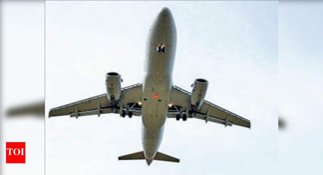 GoAir flight suffers bird-hit, flies back to IGI | Patna News - Times ...