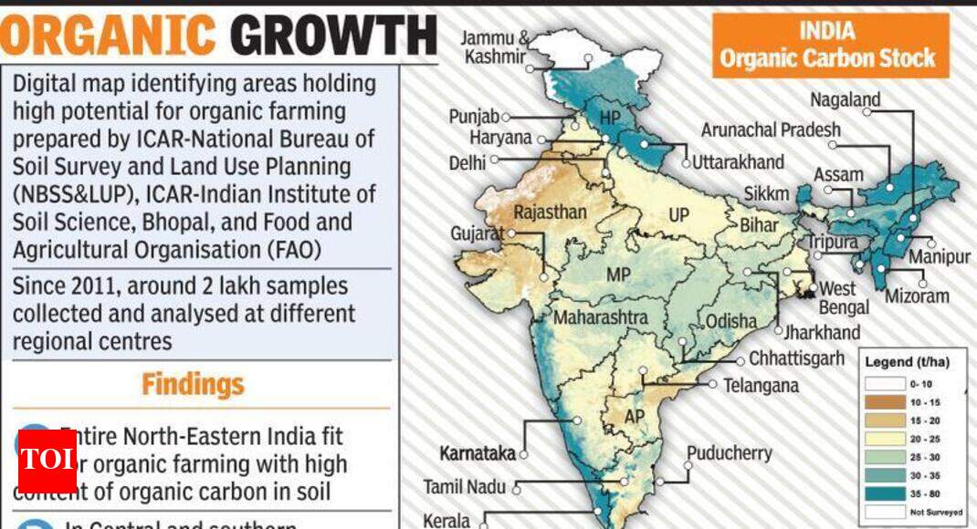 City inst maps out best regions for organic farming in India | Nagpur ...