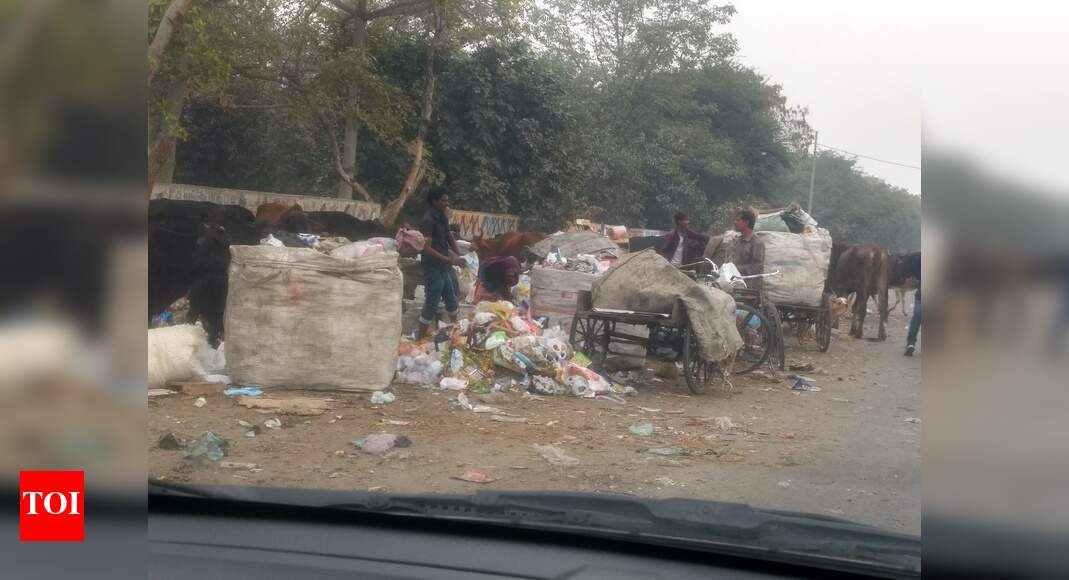 Open Garbage dump in sec-24 Rohini - Times of India