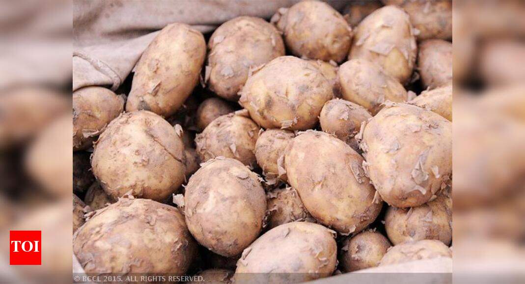 Punjab: Punjab potato rates plunge, edgy growers plan to dump tubers ...