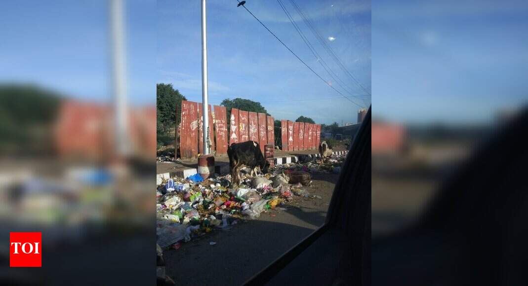 road turned into garbage spot - Times of India