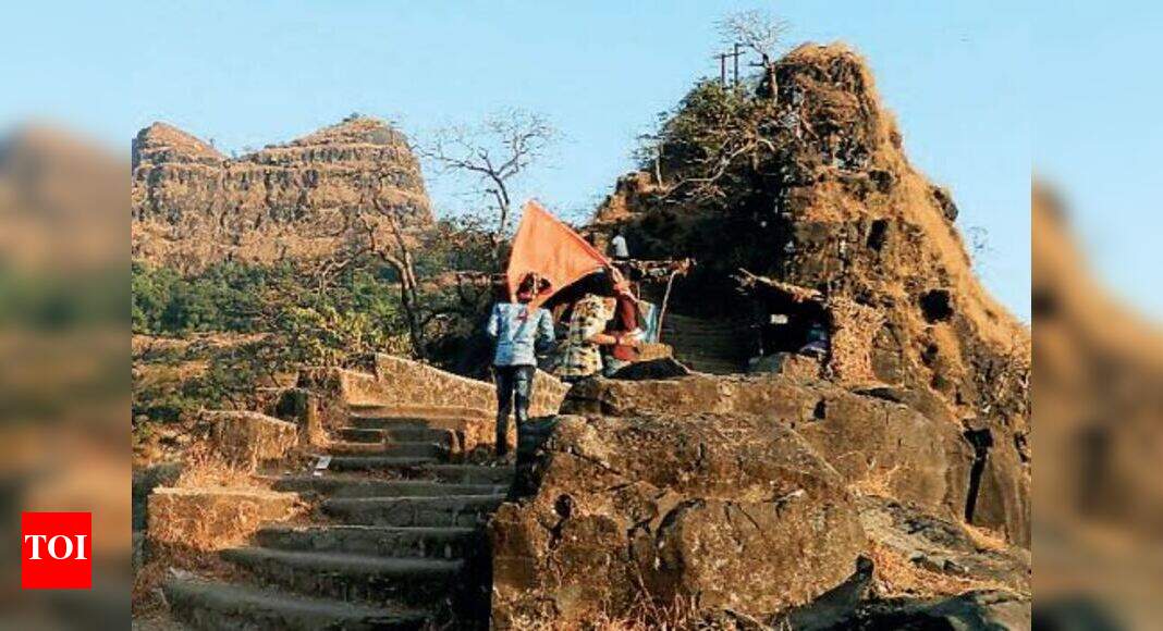 NFAI: NFAI to screen rare Raigad film on Monday | Pune News - Times of ...