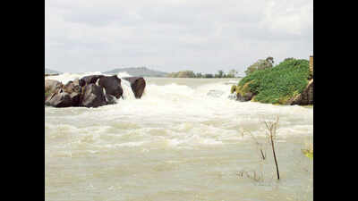 Water to be released from Pambar dam starting Tuesday | Chennai News ...
