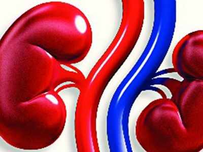 Kidney racket: Cops ask hospital for transplant data | Kolkata News ...