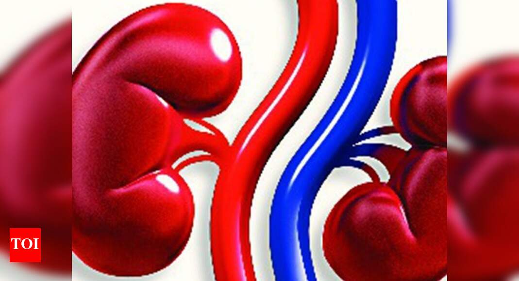 Kidney racket: Cops ask hospital for transplant data | Kolkata News ...