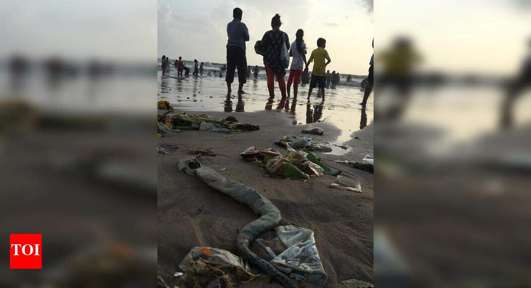 Snake Carcass on Juhu - Times of India