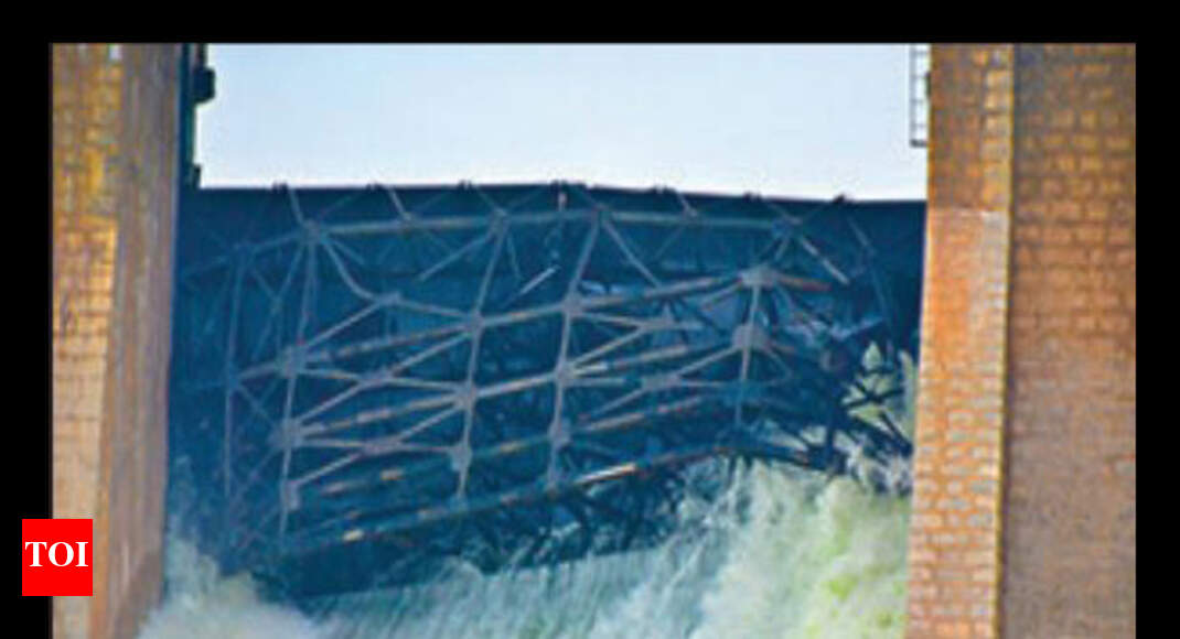 tamil nadu: Rivers across Tamil Nadu to swell, says Central Water ...