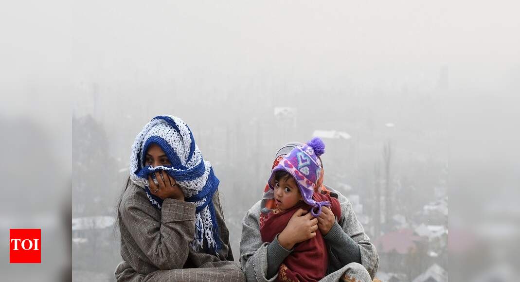 Weather In India: North India experiences biting cold; Sub-zero temp in ...