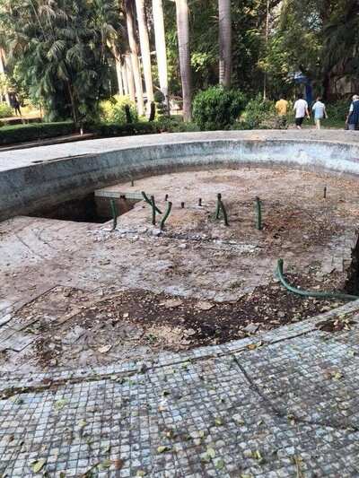 Bandra mourns killing of Patwardhan Park - Times of India