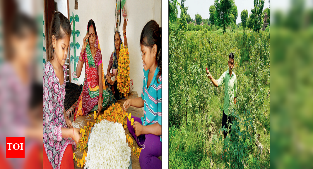 Villagers grow flowers to ward off stench | Varanasi News - Times of India