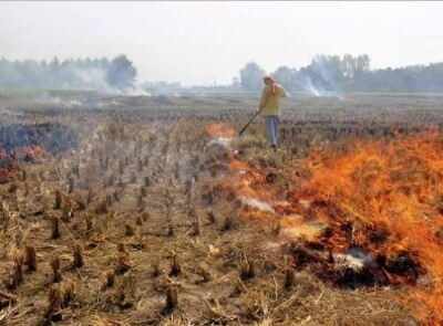 ‘Why burn paddy straw when you can earn out of it?’ | Chandigarh News ...
