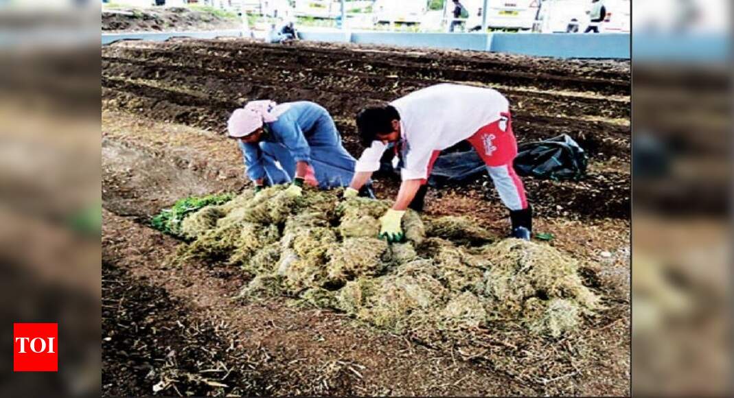 25 years on, this institute continues to share waste management tips ...