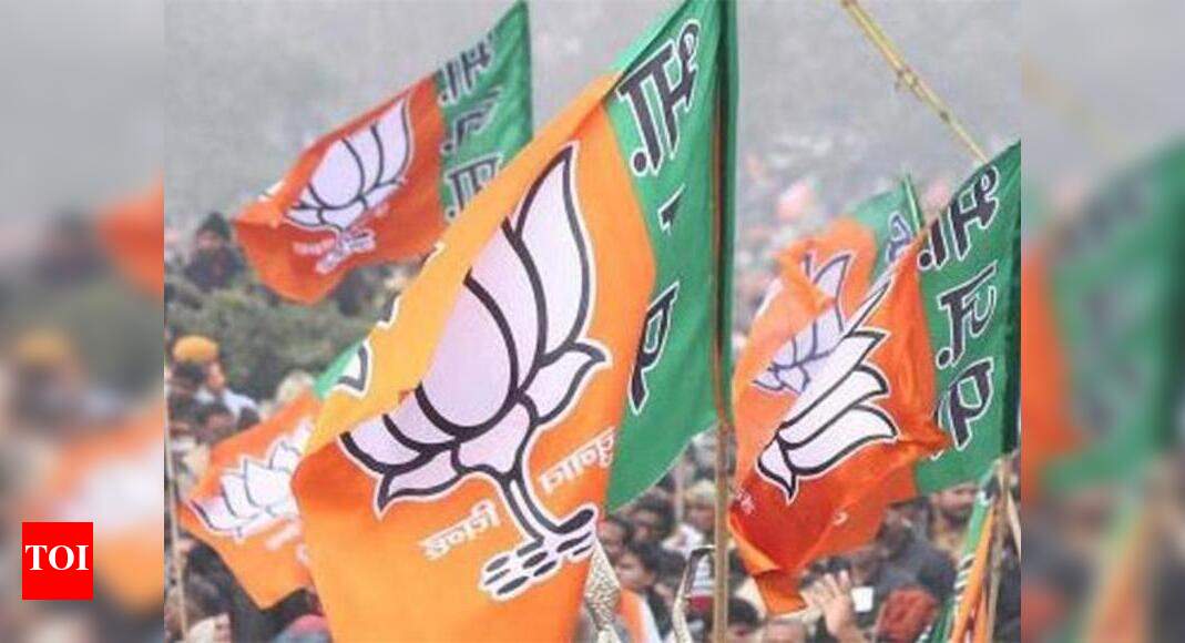 BJP manifesto for Gujarat elections: Finally, BJP releases manifesto, promises double-digit ...