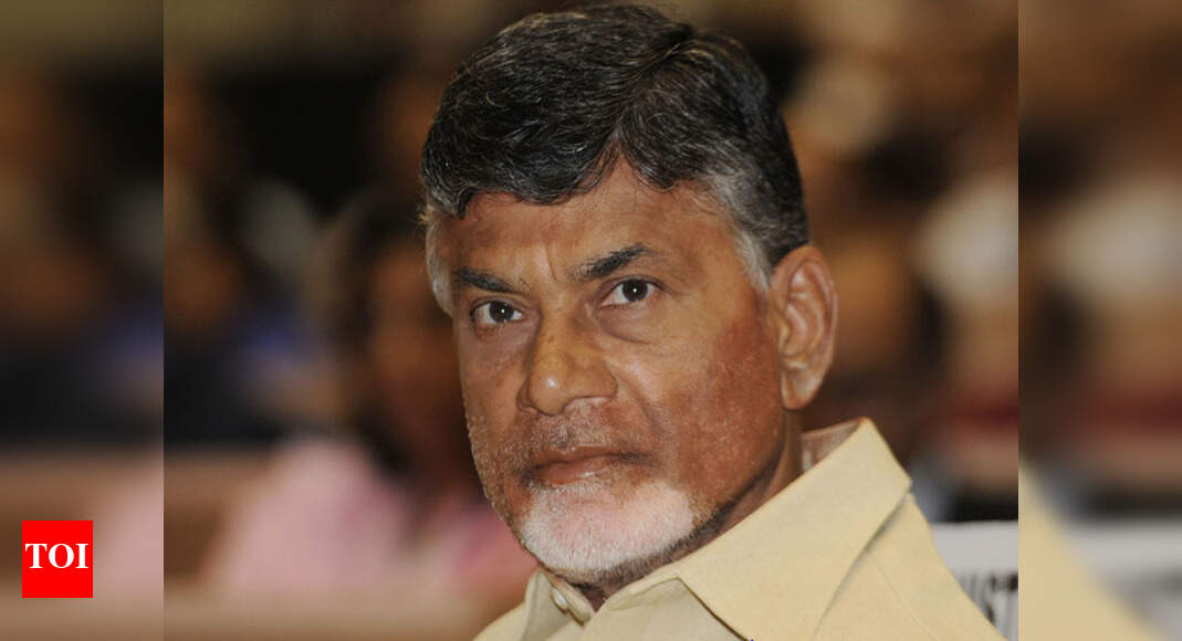 Chandrababu: CM Chandrababu worth Rs 2.53 crore, his grandkid Rs 11.5 ...