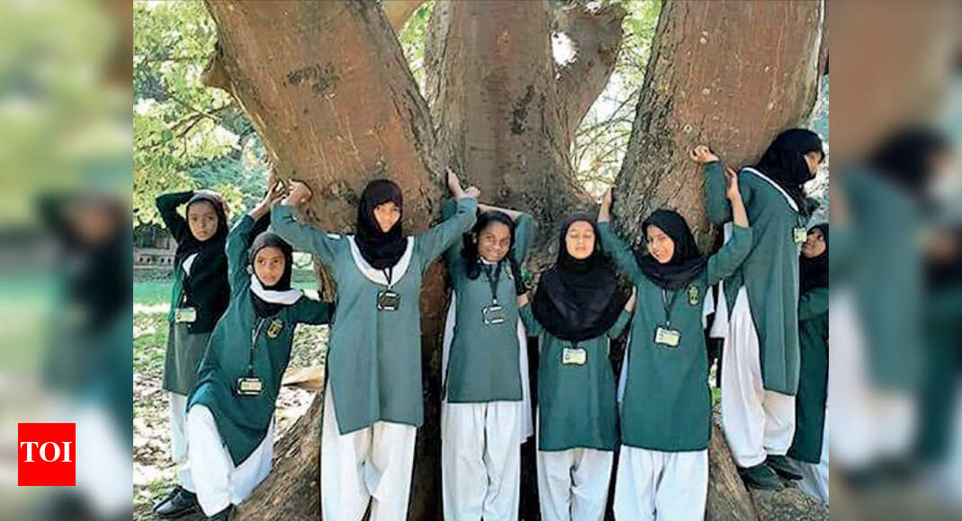 13,800 people hug trees, eye world record | Bengaluru News - Times of India