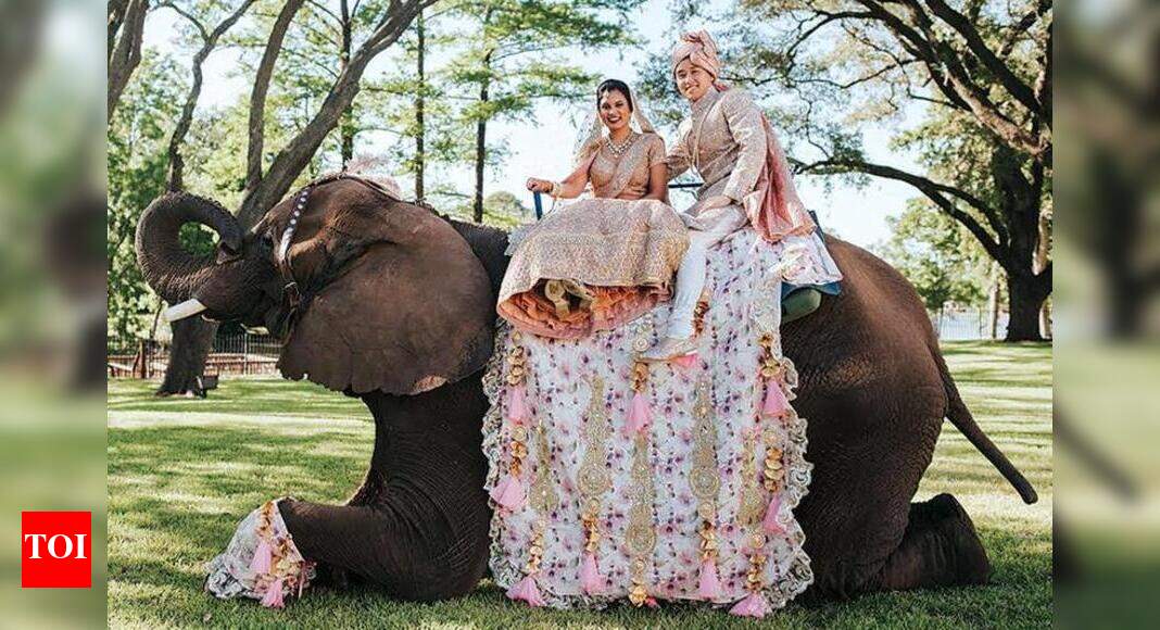 The Videshi planner | Bengaluru News - Times of India