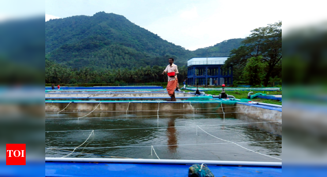 Tilapia Lake Virus: Tilapia Lake Virus: Govt activates aquatic disease ...