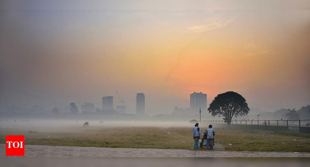 City winters conducive to bouts of nostalgia | Kolkata News - Times of ...
