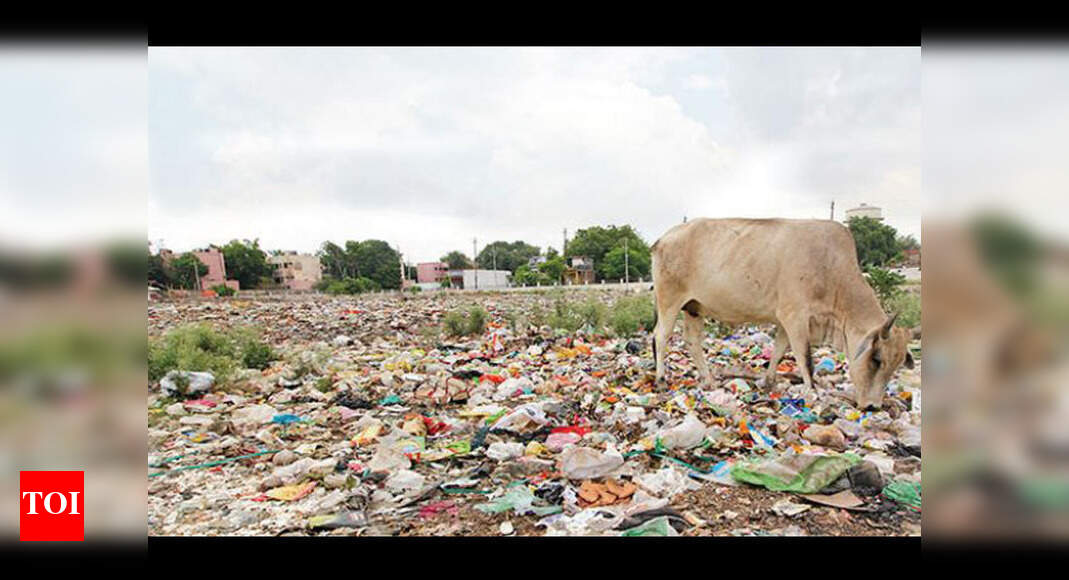 Poor trash collection likely to keep swachh ranking low | Lucknow News ...
