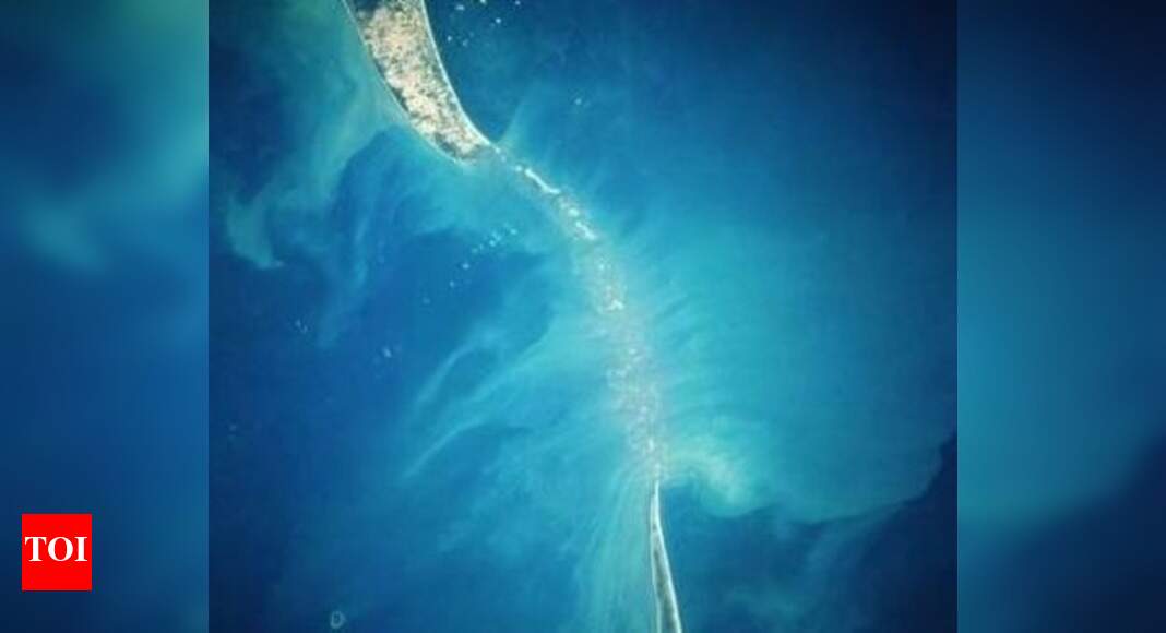 ram setu - Times of India