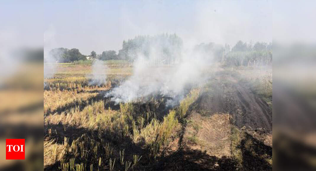 Nasa data shows no reduction in crop fires, 2016 worst year | Delhi ...