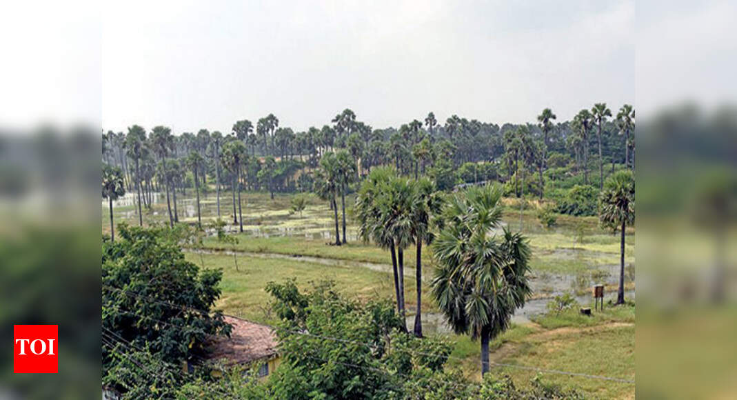 Madhavaram awaits botanical garden | Chennai News - Times of India