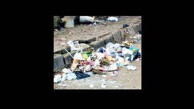 Road turns garbage segregation centre | Bengaluru News - Times of India