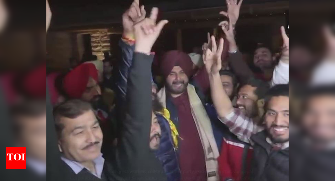 Punjab Municipal Polls: Congress sweeps municipal polls in Punjab, SAD ...