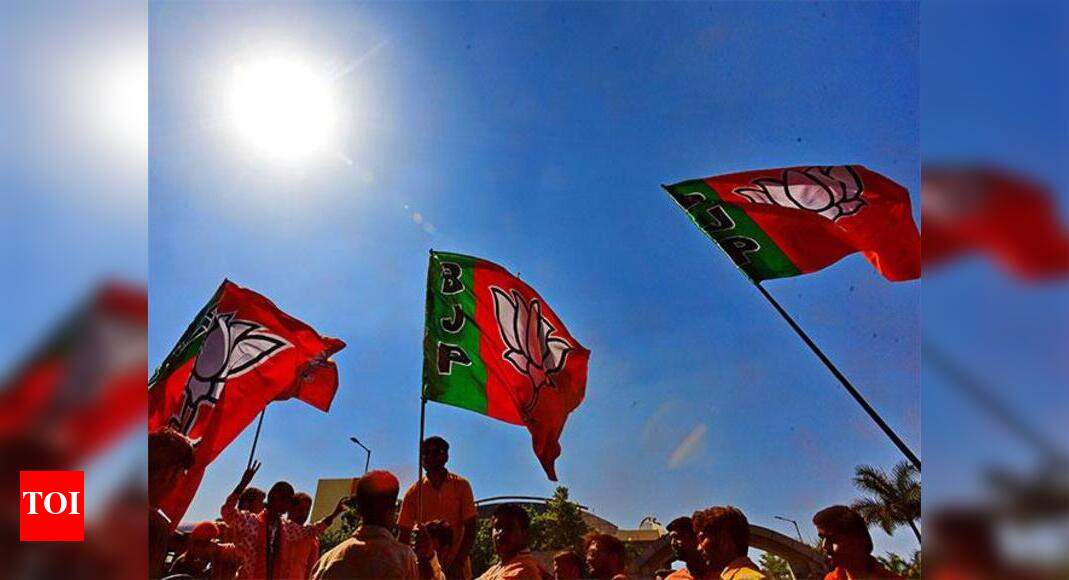 Gujarat election results: BJP winning candidates | India News - Times ...