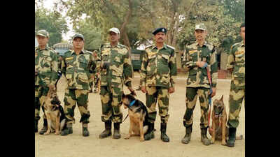 SEAL touch to state’s forest canine squad | Kolkata News - Times of India