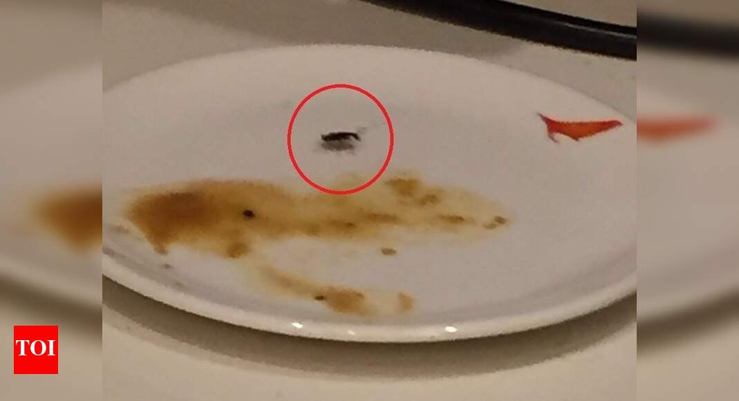 Cockroach found in meal served at Air India’s Delhi airport lounge ...