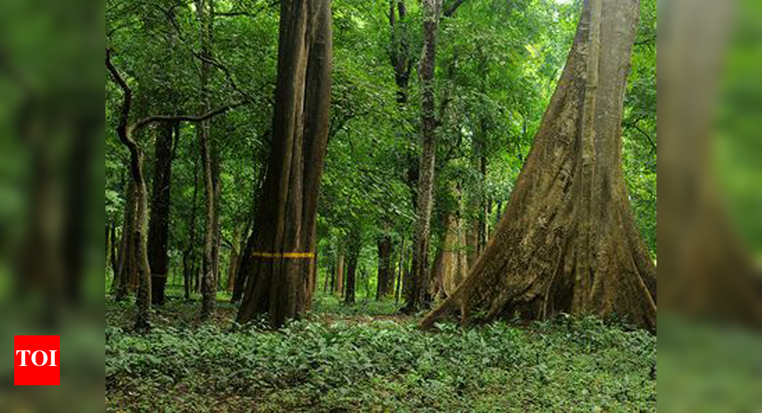 Agrarian Haryana tops diversion of forest land; Telangana, MP next ...